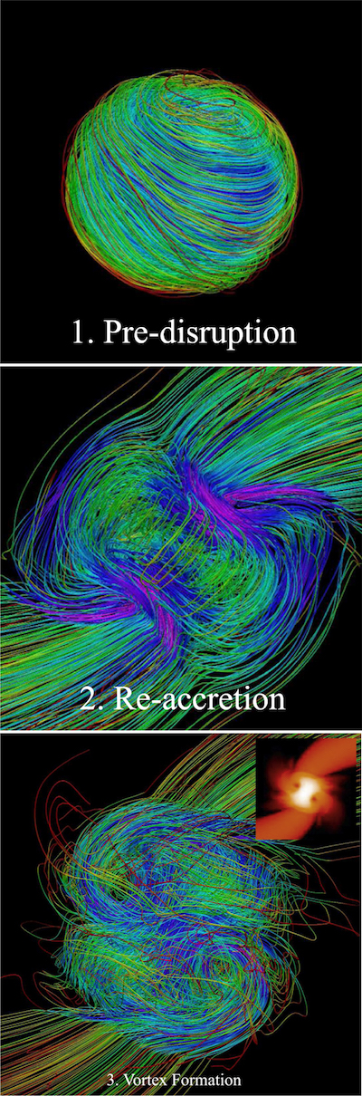 Destruction of a Magnetized Star - AAS Nova