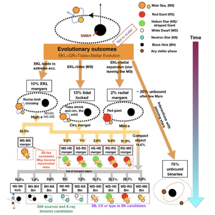 Tough Times for Binaries Near Black Holes - AAS Nova
