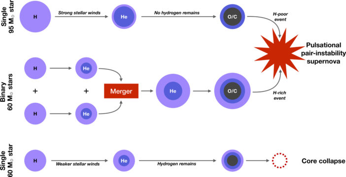Exploring an Odd Stellar Death - AAS Nova