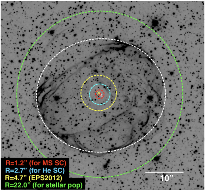 Searching for Supernova Survivors - AAS Nova