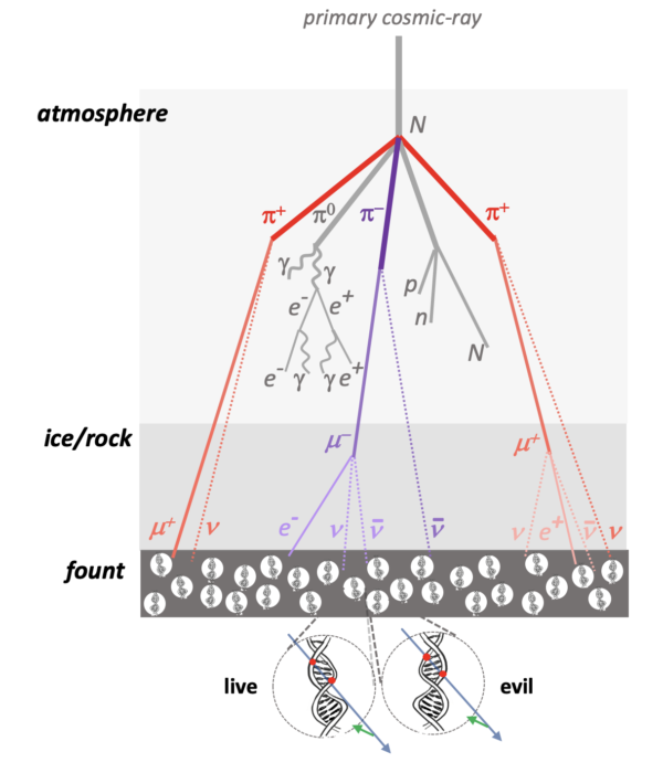 Cosmic Rays as the Source of Life’s Handedness - AAS Nova