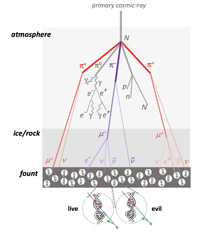 Cosmic Rays as the Source of Life’s Handedness - AAS Nova