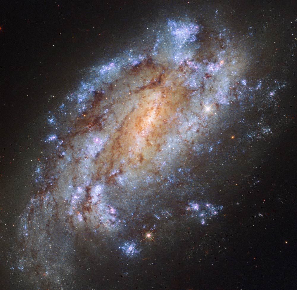 Seeing Star Formation At Cosmic Noon AAS Nova