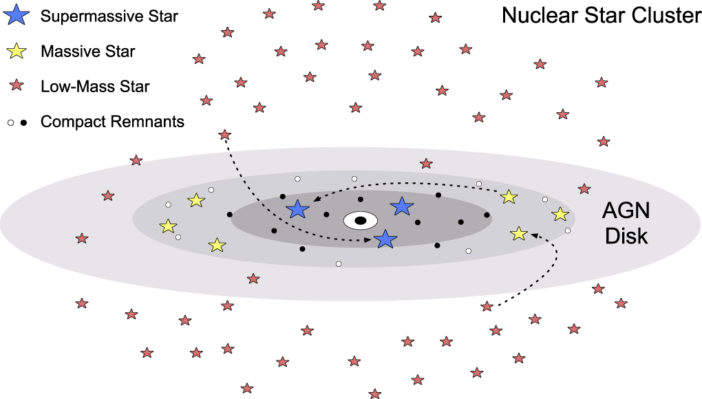 Signs of Extreme Survivor Stars - AAS Nova