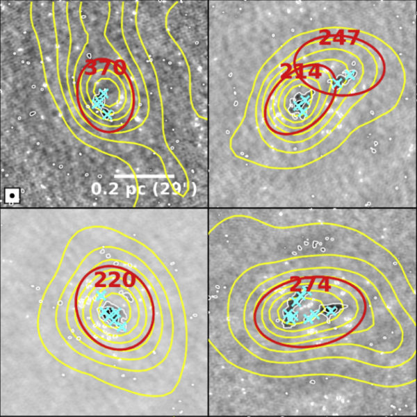 A Detailed Look at the Cygnus X Star-Forming Complex - AAS Nova