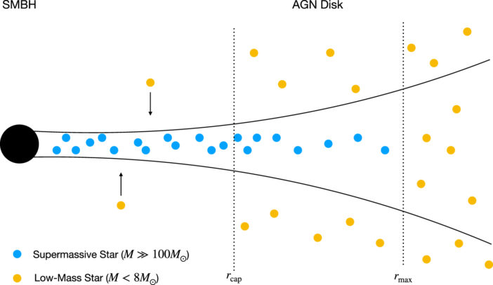 The Life and Times of Immortal Stars - AAS Nova