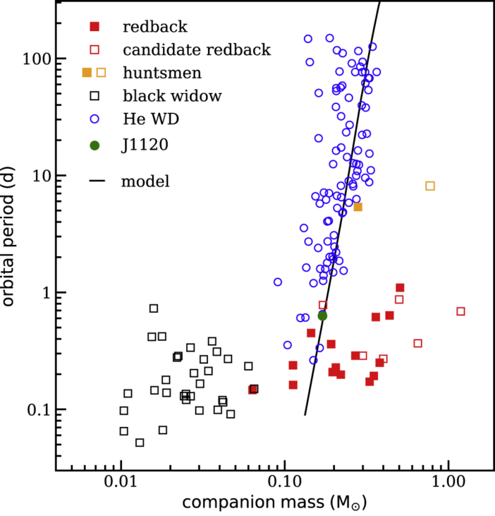A New Spider Joins a Deadly Club - AAS Nova