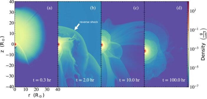 Wanted: Surviving Companions of Stripped-Envelope Supernovae - AAS Nova