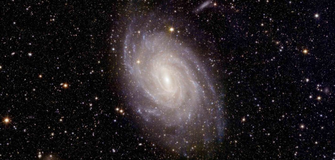 It's Just a Phase: Dark Matter–Dominated Galaxies in the Early Universe ...