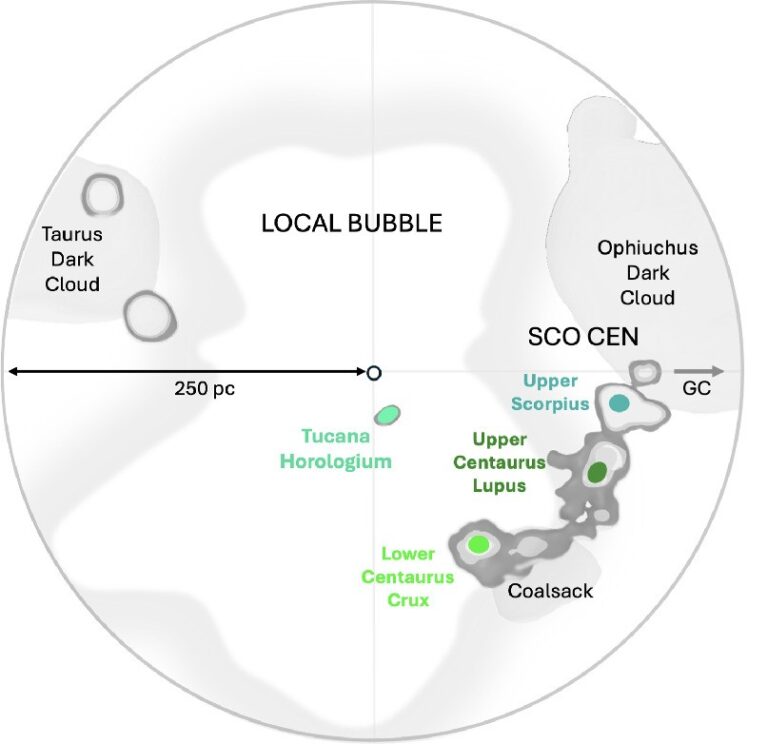 Supernova Signatures on Life in the Local Bubble - AAS Nova