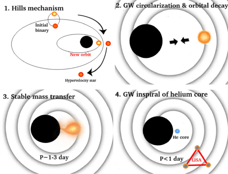 Supermassive Black Holes and Stripped Subgiants: Significant Signals ...